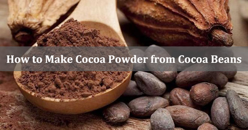 How to Make Cocoa Powder from Cocoa Beans in the Factory?