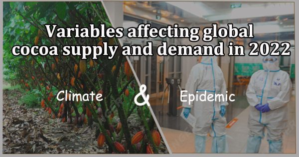 Variables affecting global cocoa supply and demand in 2022