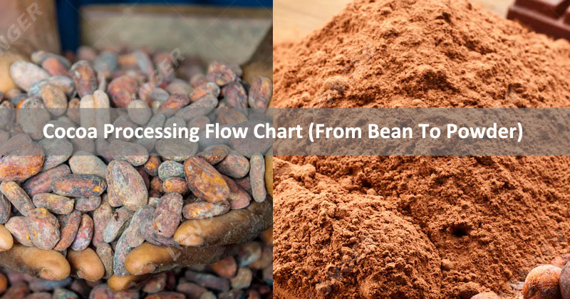 Cocoa Processing Flow Chart (From Bean To Powder) - Cocoa Machinery Cocoa Processing Flow Chart (From Bean To Powder) - Cocoa Machinery