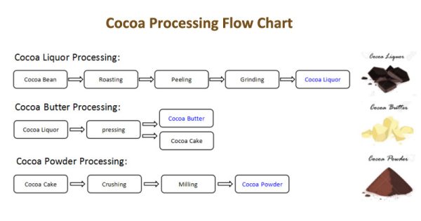 Cocoa Processing Flow Chart (From Bean To Powder) - Cocoa Machinery Cocoa Processing Flow Chart (From Bean To Powder) - Cocoa Machinery