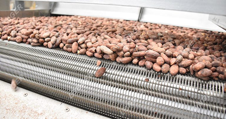 How To Process Cocoa Beans Into Chocolate Step By Step?
