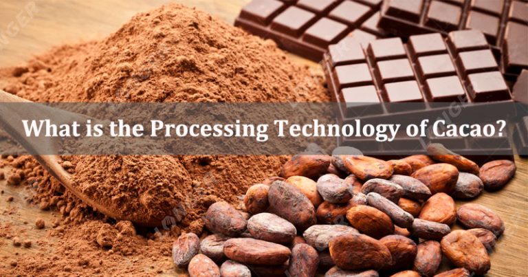 What is the Processing Technology of Cacao? From Bean to Bar