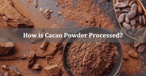 How is Cacao Powder Processed? 7 Steps - Cocoa Machinery
