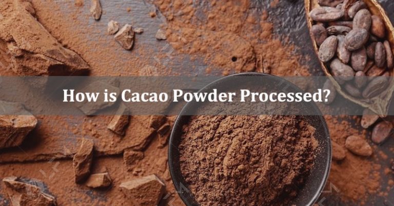 How is Cacao Powder Processed? 7 Steps - Cocoa Machinery