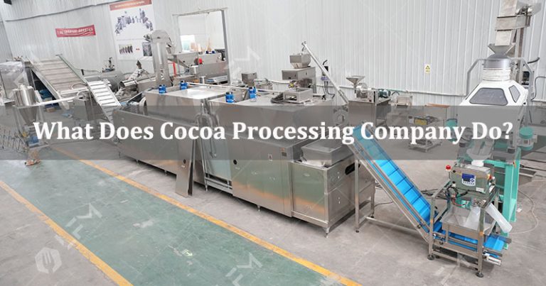 What Does Cocoa Processing Company Do? - Cocoa Machinery